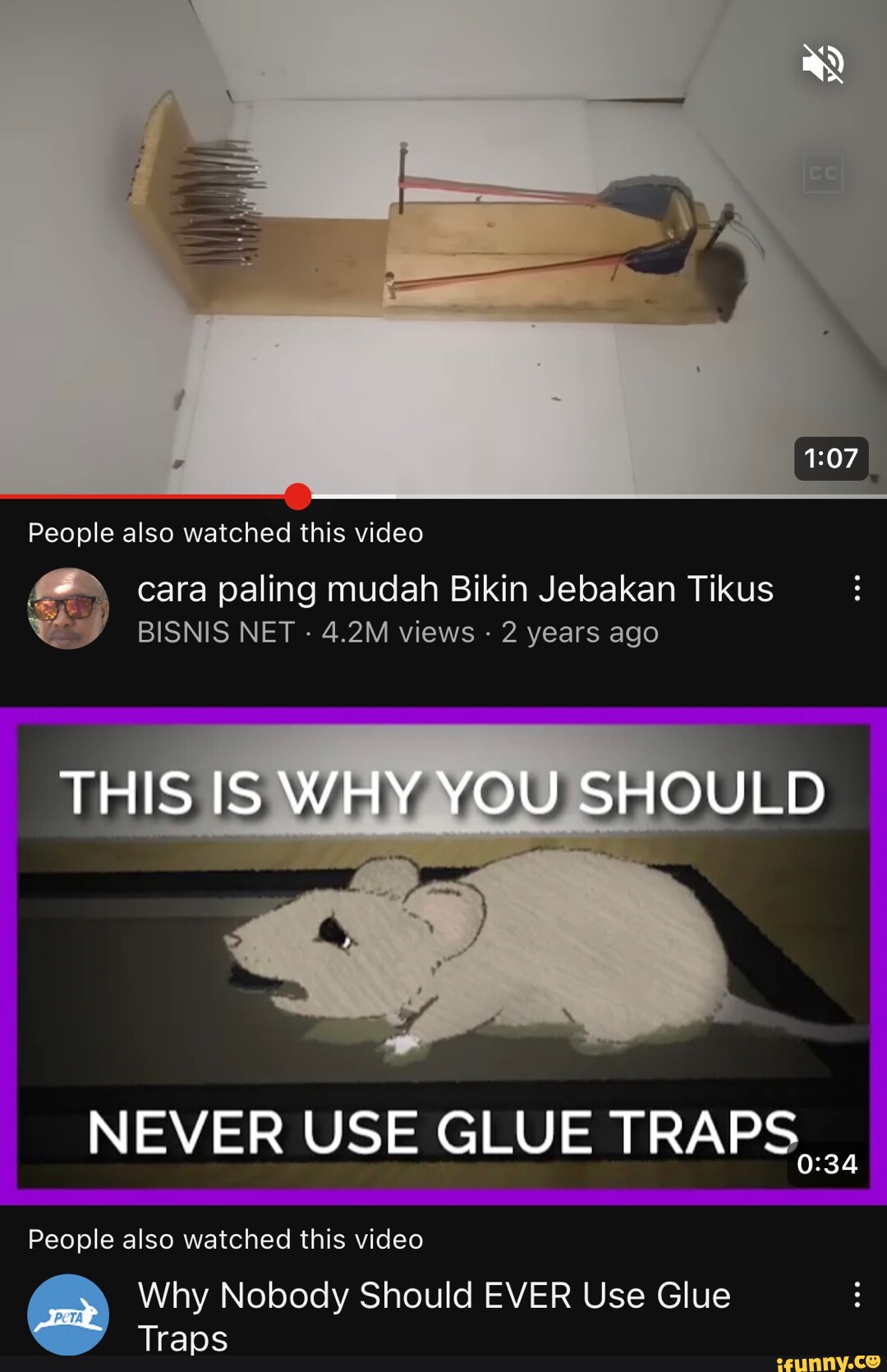 People also watched this video cara paling mudah Bikin Jebakan Tikus ...