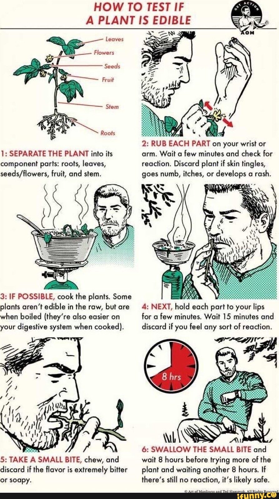HOW TO TEST IF A PLANT IS EDIBLE Leaves Flowers Seeds Feurt Stem Roots ...