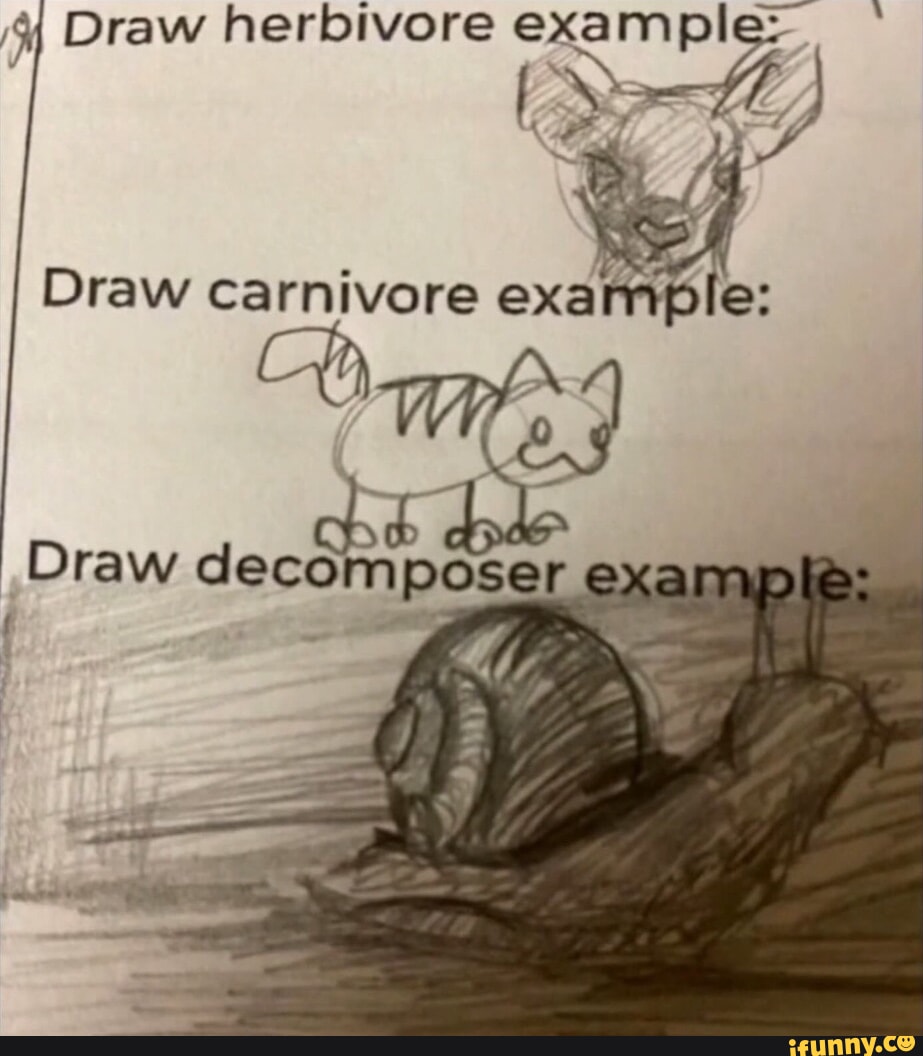 4{ Draw herbivore example: Draw carnivore example: CA Draw decomposer ...