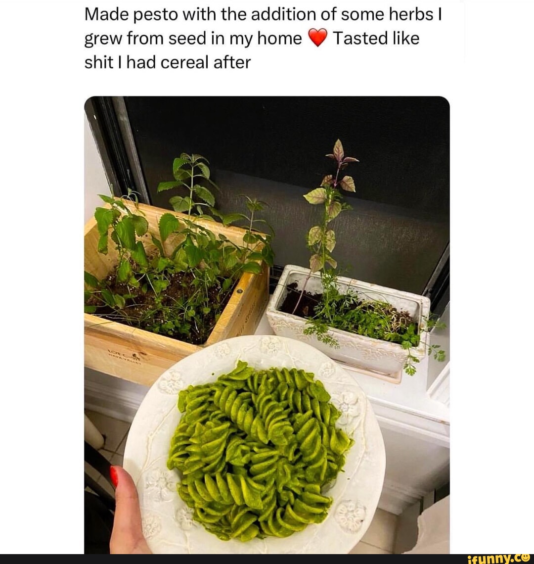 Pesto memes. Best Collection of funny Pesto pictures on iFunny