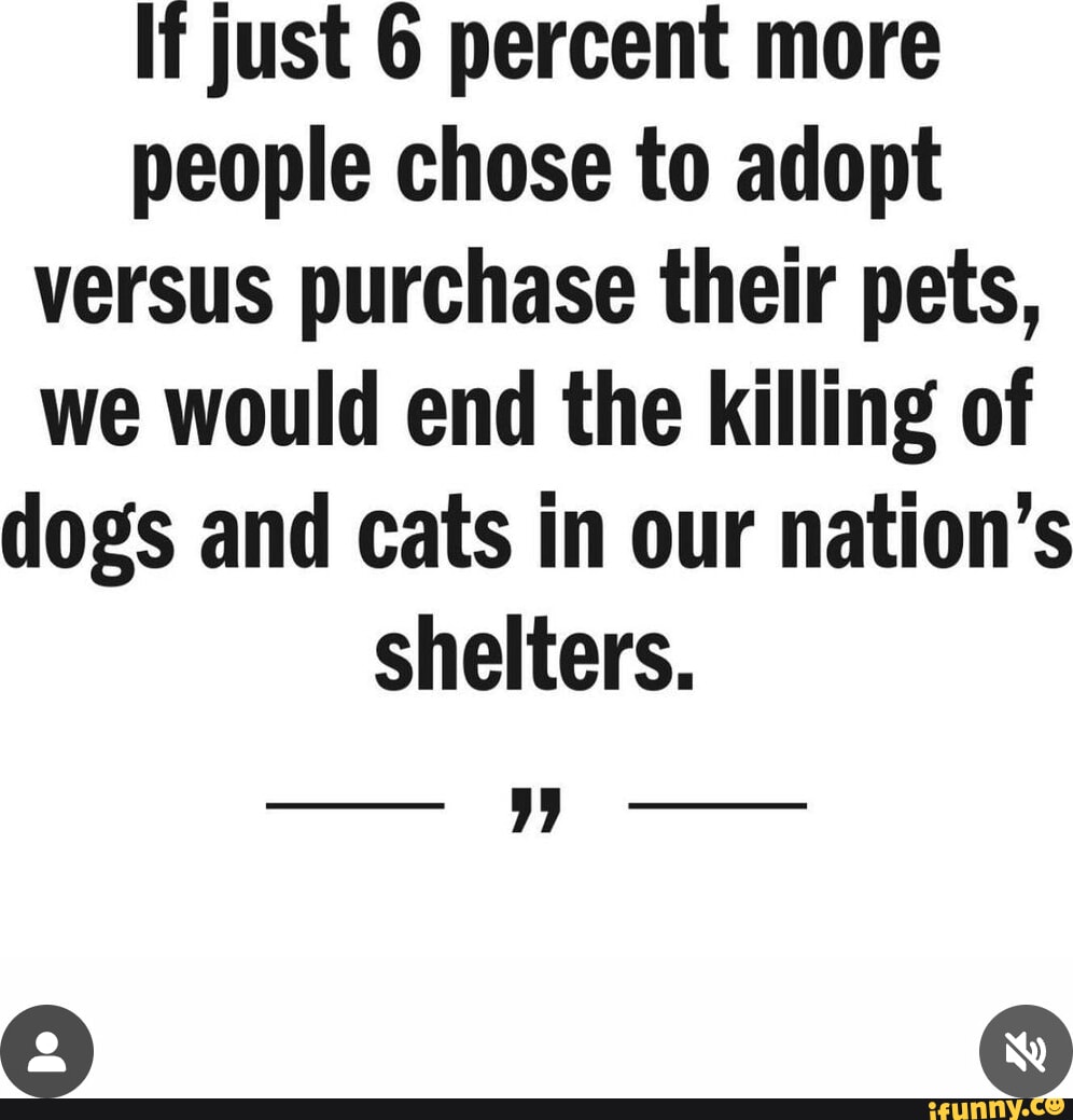 Shelters memes. Best Collection of funny Shelters pictures on iFunny
