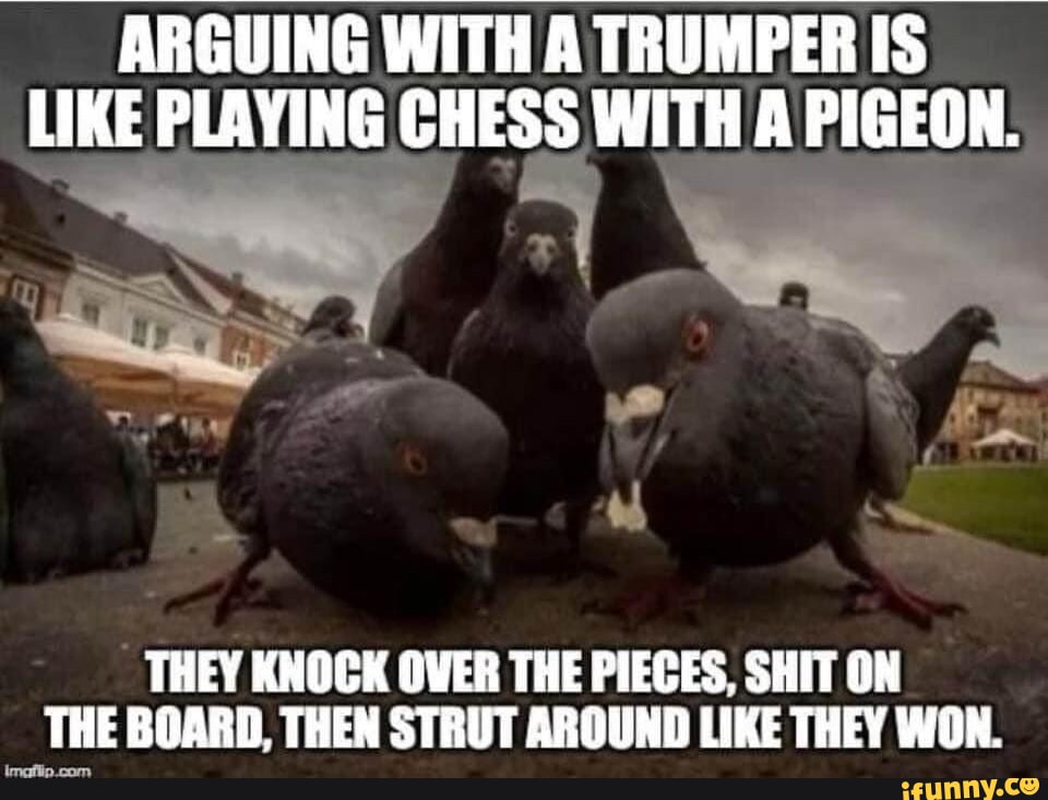 Strut memes. Best Collection of funny Strut pictures on iFunny