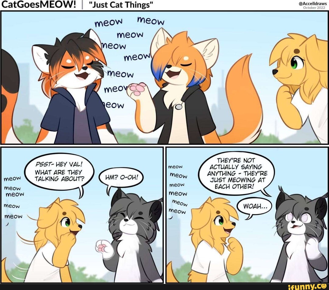 Catgoesmeow memes. Best Collection of funny Catgoesmeow pictures on iFunny
