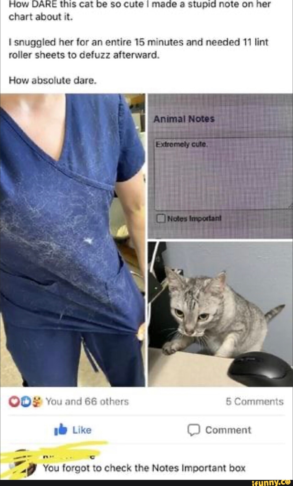 Lint memes. Best Collection of funny Lint pictures on iFunny