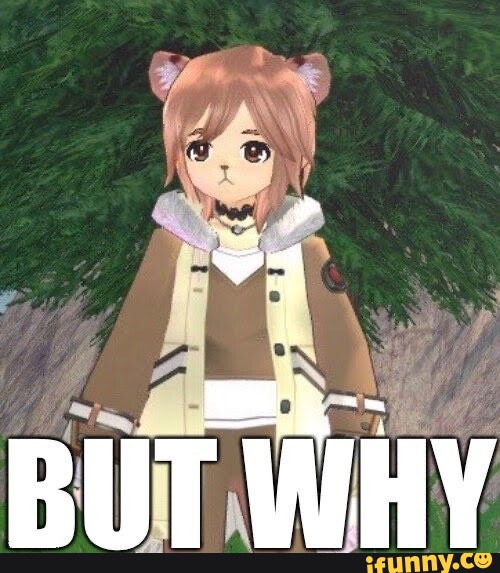 Catboy memes. Best Collection of funny Catboy pictures on iFunny