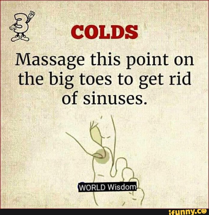 Sinuses memes. Best Collection of funny Sinuses pictures on iFunny