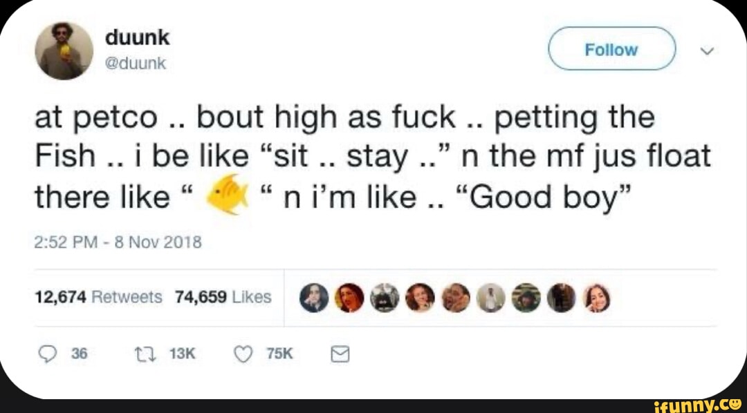 Petco memes. Best Collection of funny Petco pictures on iFunny