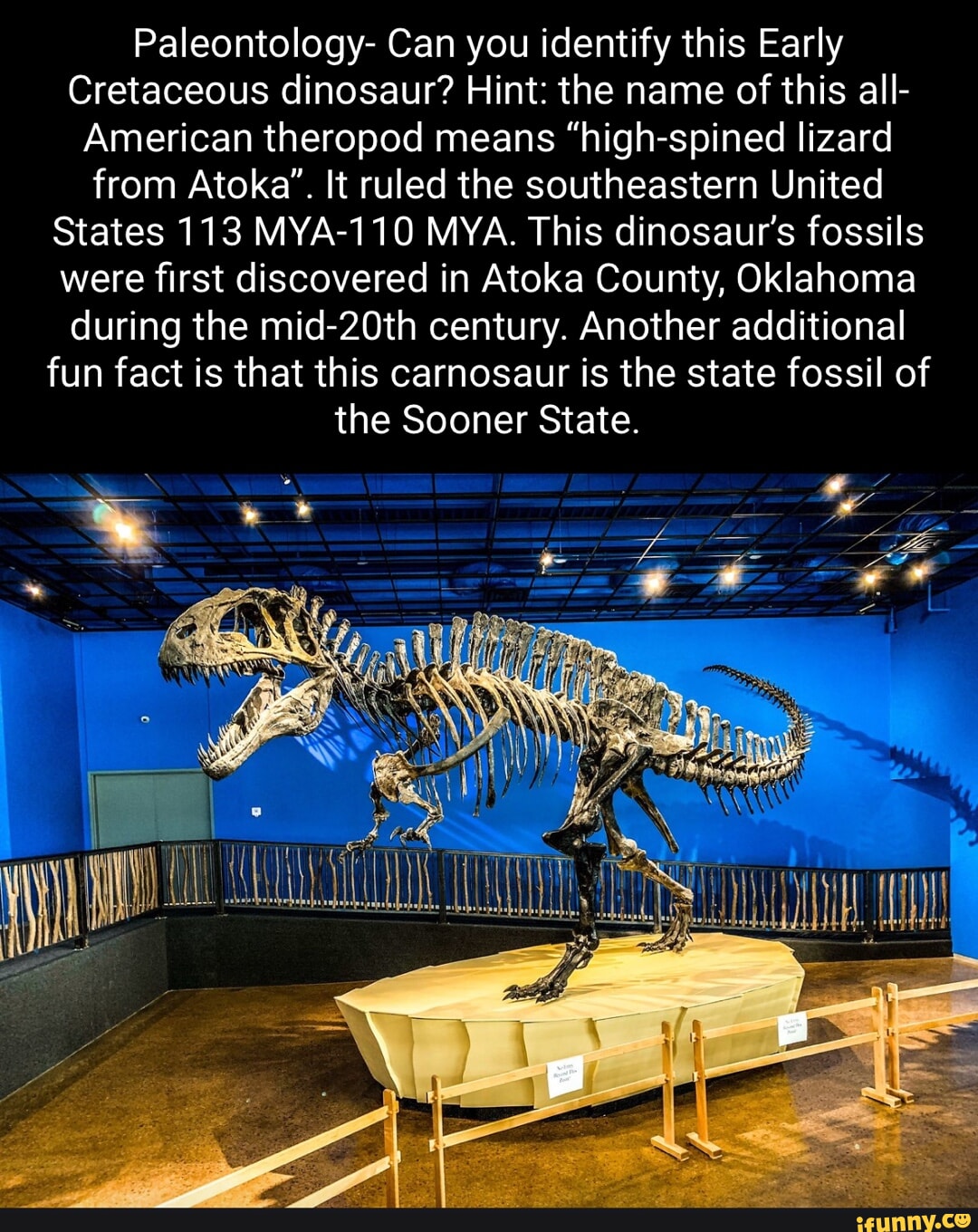 Paleontology- Can you identify this Early Cretaceous dinosaur? Hint ...