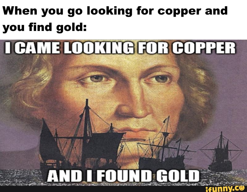 When you go looking for copper and you find gold: CAME LOOKING FOR ...