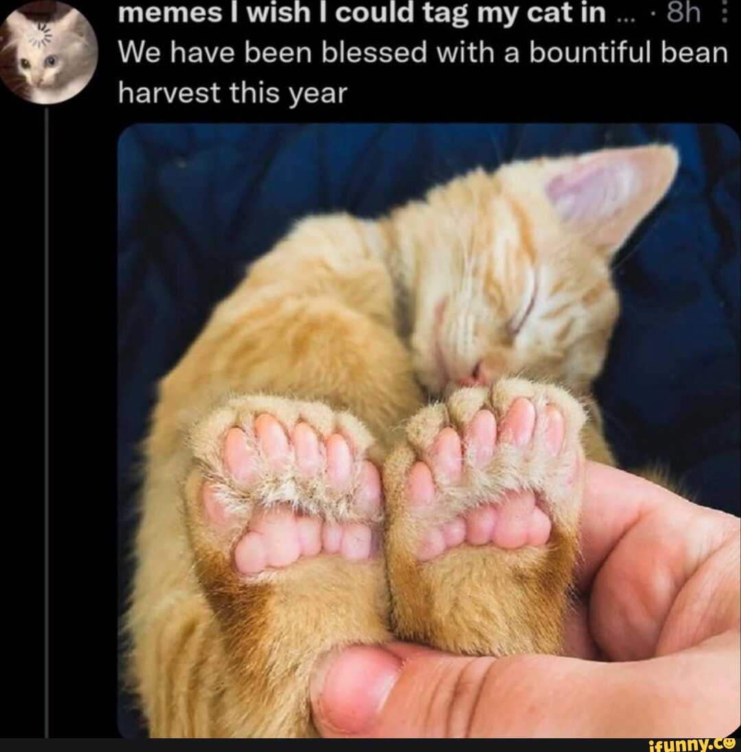 Don't do that. Don't give me hope. - - iFunny