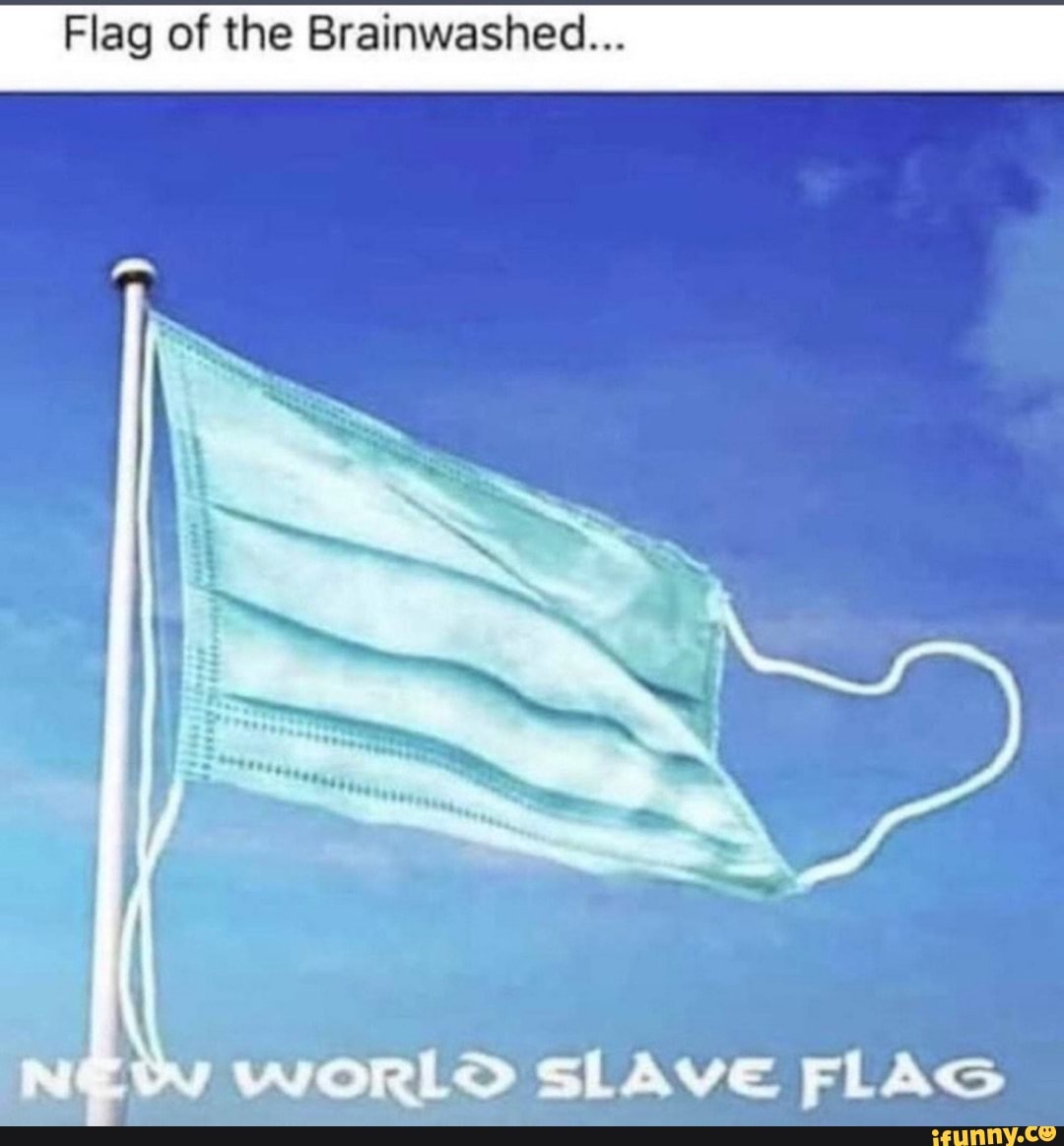 Flag of the Brainwashed... - iFunny