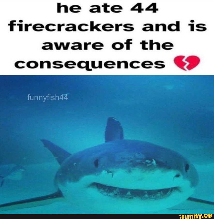 He ate 44 firecrackers and is aware of the consequences funny? sh44 ...