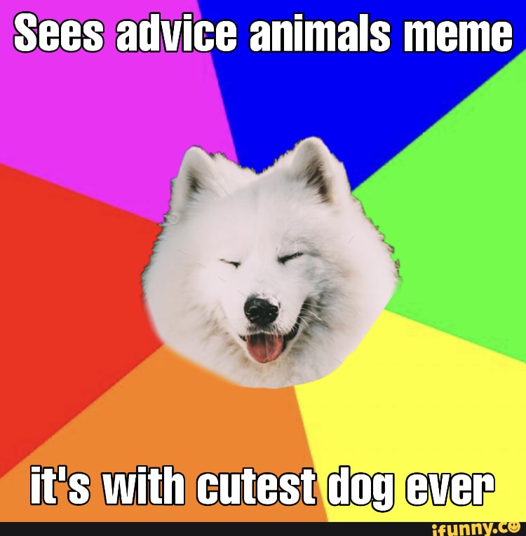 Sees advice animals meme - iFunny