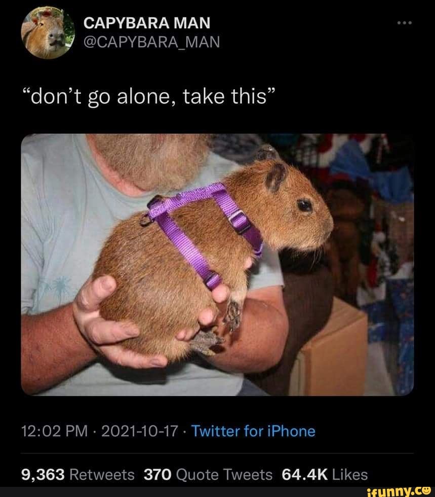 . CAPYBARA MAN @CAPYBARA MAN "don't go alone, take this" PM - 2021-10 ...