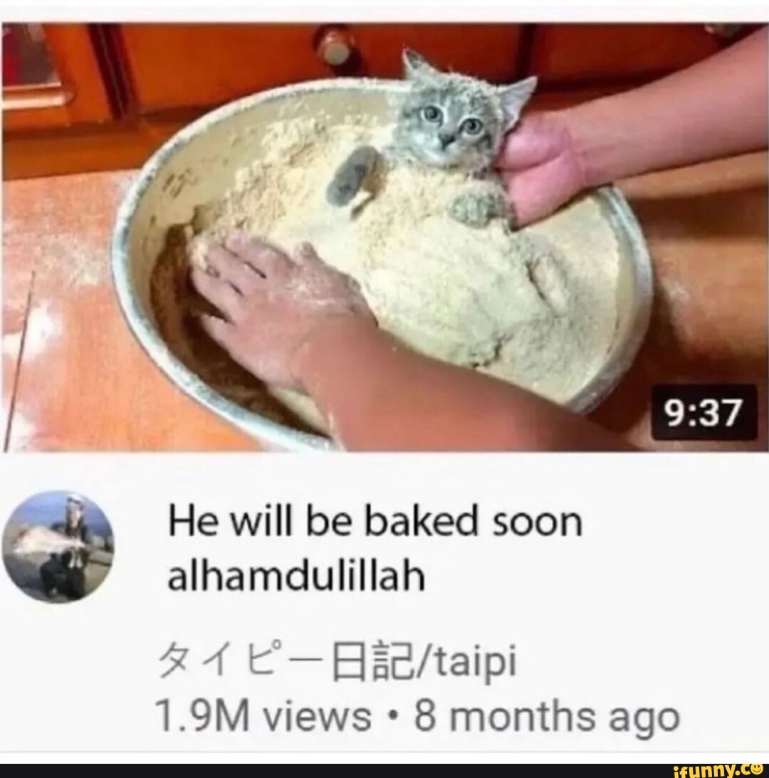 Alhamdulillah memes. Best Collection of funny Alhamdulillah pictures on ...