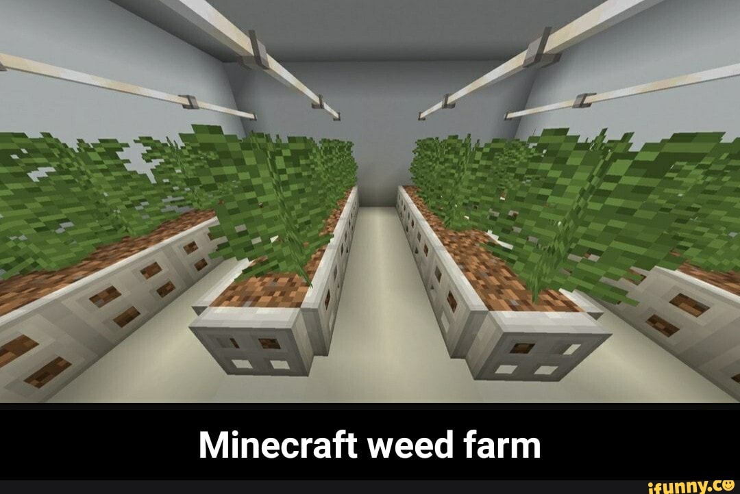 Minecraft Weed Farm Minecraft Weed Farm Ifunny