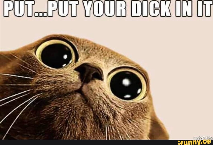 Init memes. Best Collection of funny Init pictures on iFunny