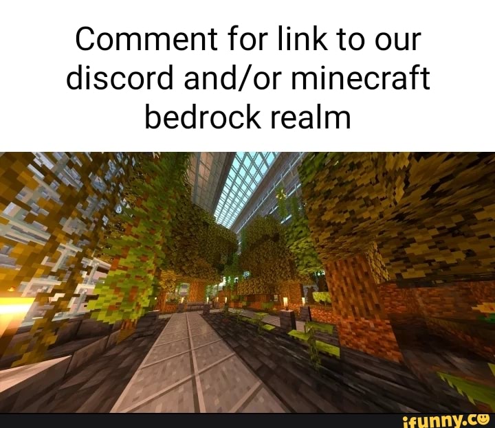 Comment for link to our discord minecraft bedrock realm - iFunny