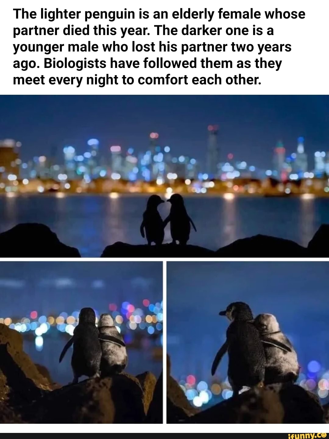 Lighter memes. Best Collection of funny Lighter pictures on iFunny