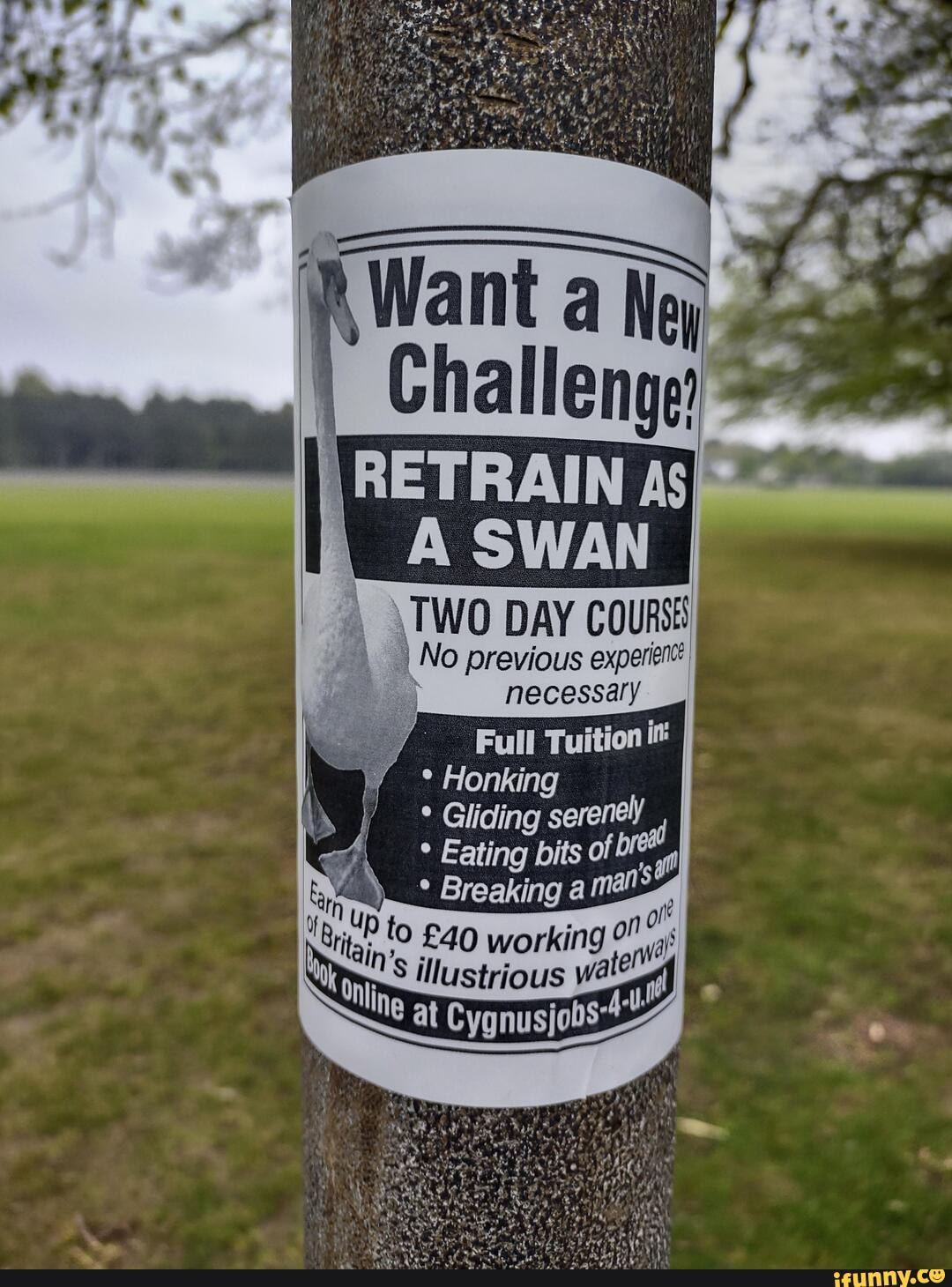 Retrain memes. Best Collection of funny Retrain pictures on iFunny