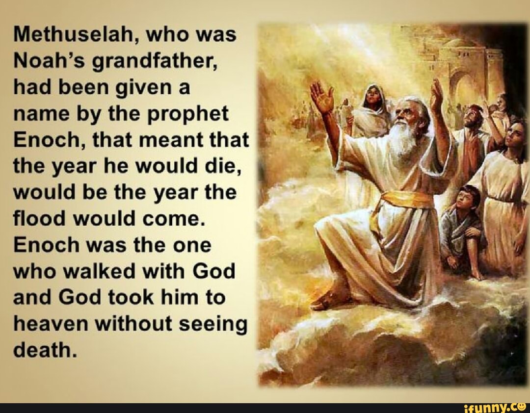 Methuselah memes. Best Collection of funny Methuselah pictures on iFunny