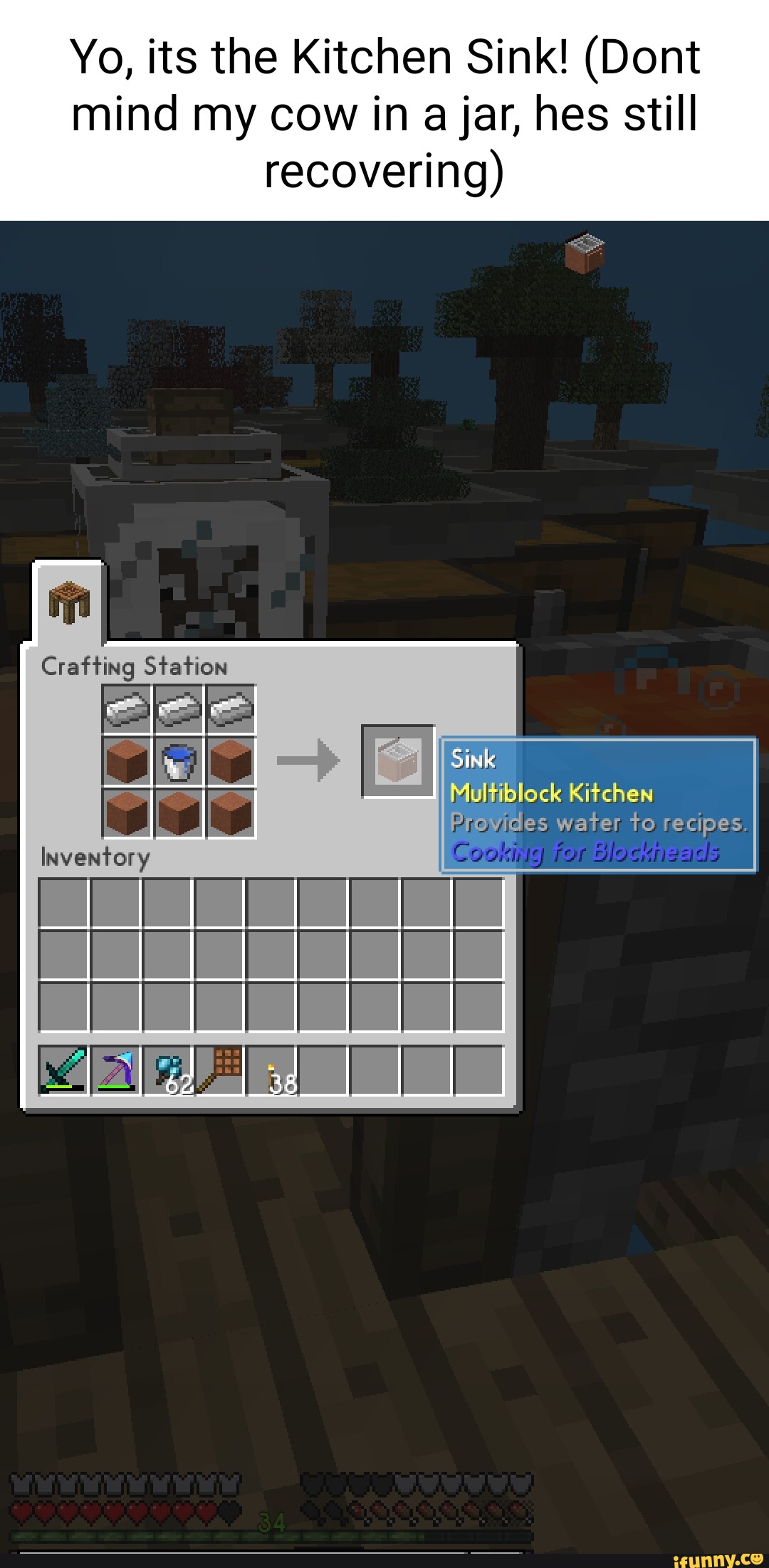 Minecraft Kitchen Sink