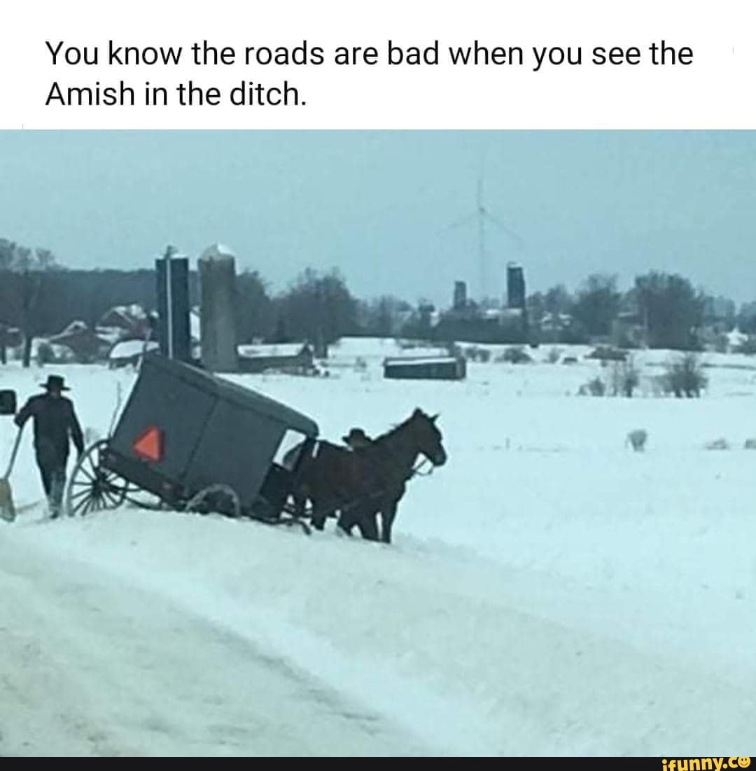 Horse_carriage memes. Best Collection of funny Horse_carriage pictures ...