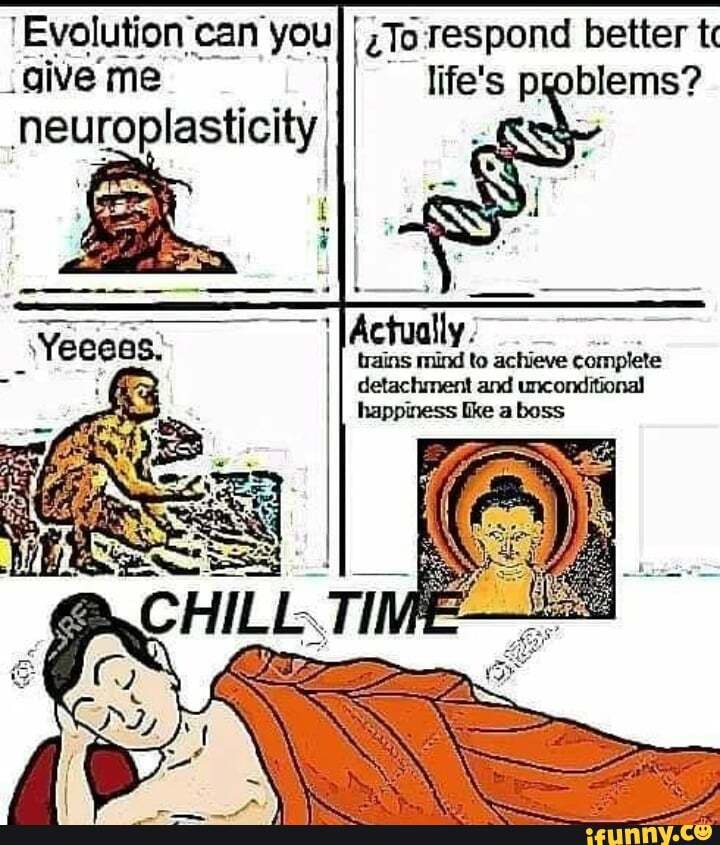 Neuroplasticity memes. Best Collection of funny Neuroplasticity ...