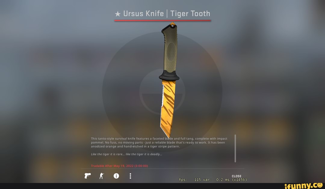 Ursus Knife I Tiger Tooth This tanto-style survival knife features a ...