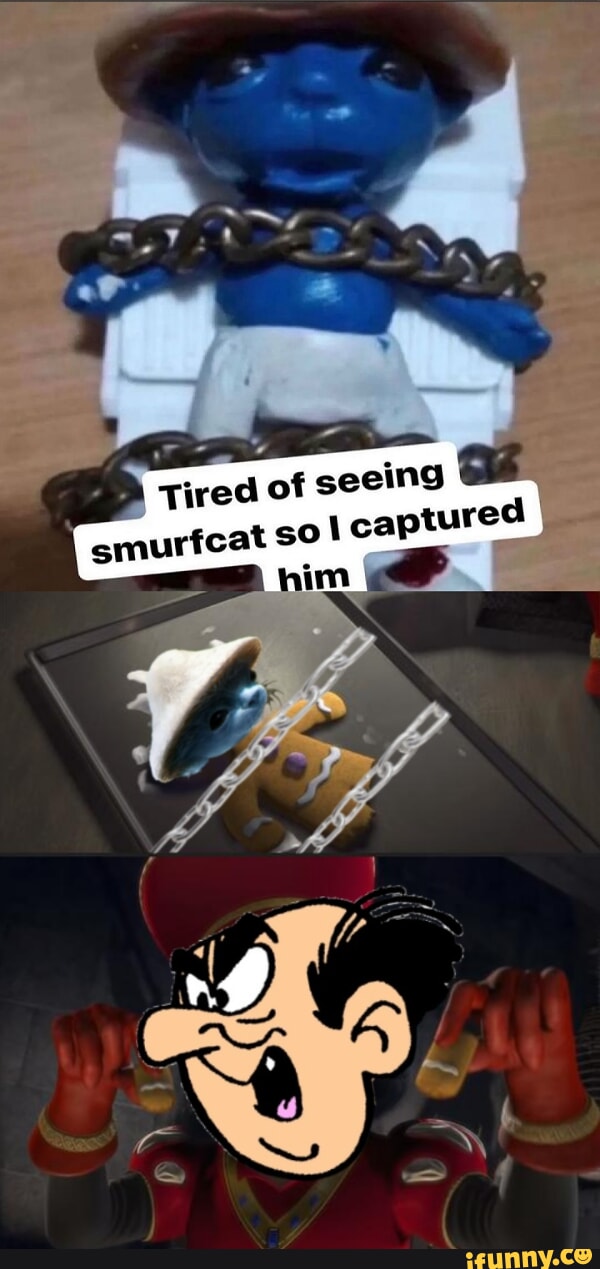 Smurfcats memes. Best Collection of funny Smurfcats pictures on iFunny