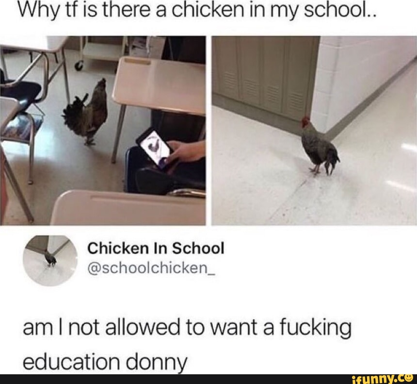 Every time ! see a post about updog I'm tom between not wanting to Tall ...