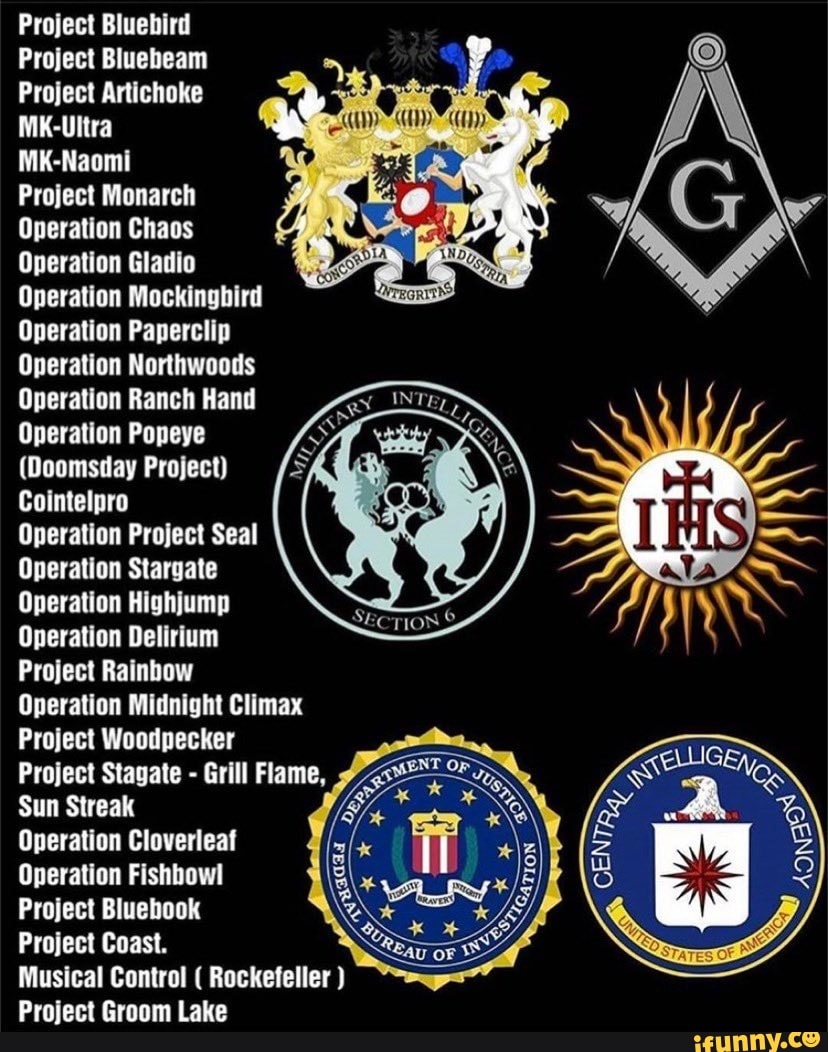 Project Bluebird Project Bluebeam Project Artichoke Ultra MK-Naomi ...