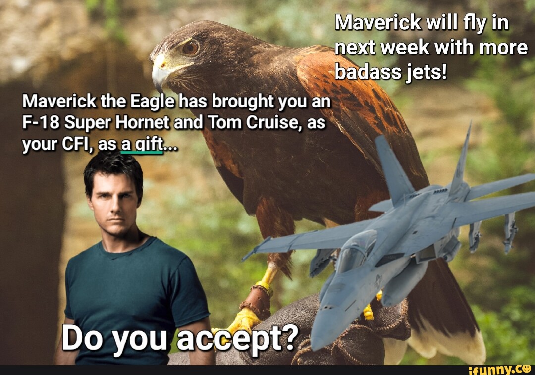 Cfi memes. Best Collection of funny Cfi pictures on iFunny