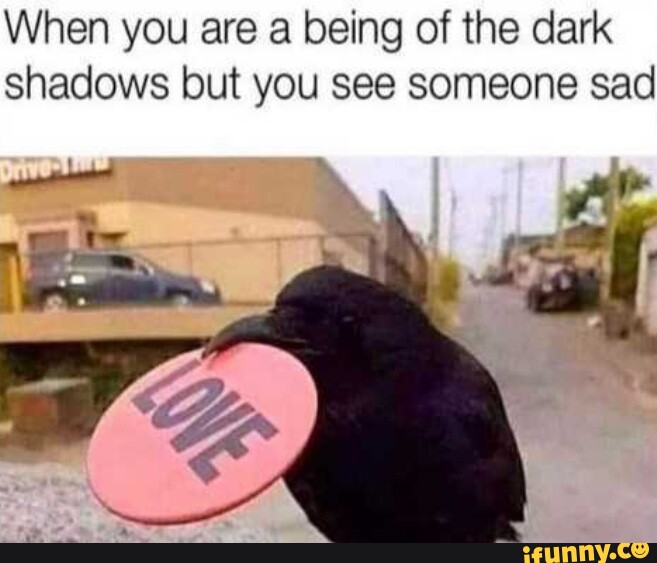Crow memes. Best Collection of funny Crow pictures on iFunny