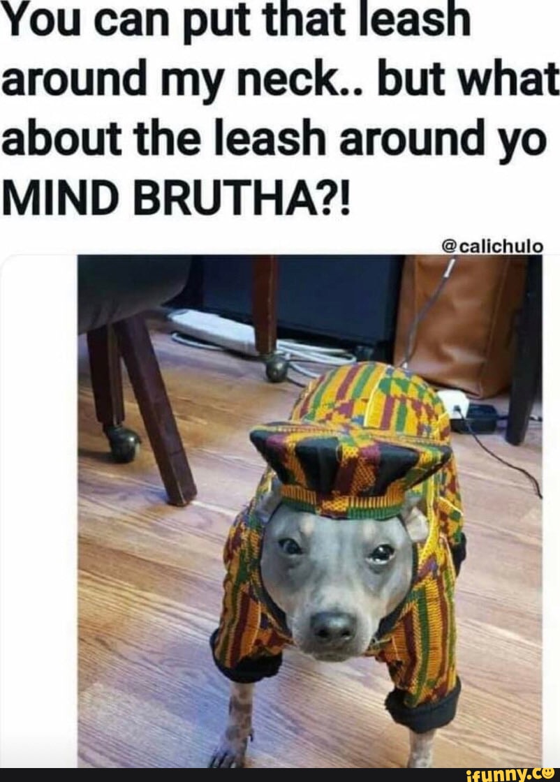 Leash memes. Best Collection of funny Leash pictures on iFunny