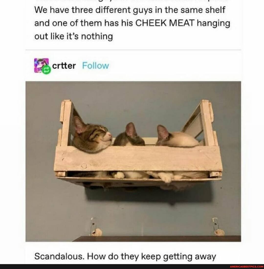 We have three different guys in the same shelf and one of them has his ...