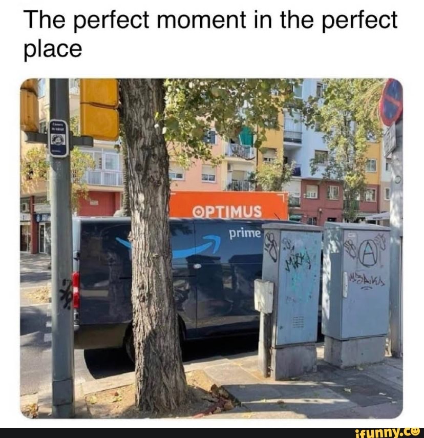 The perfect moment in the perfect place --QPTIMUS - iFunny
