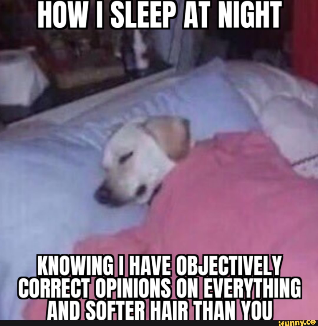 HOW I SLEEP AT NIGHT KNOWING I HAVE OBJECTIVELY CORRECT OPINIONS ON ...