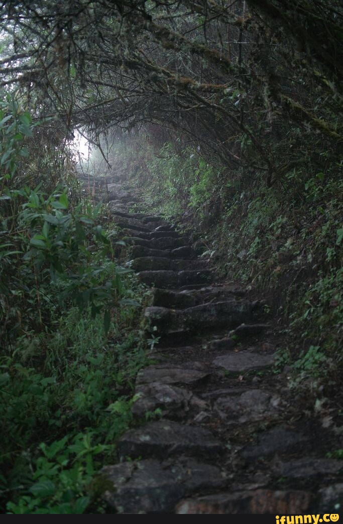 Abandonedaesthetic memes. Best Collection of funny Abandonedaesthetic ...