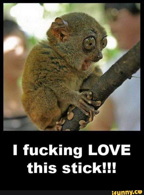 I Fucking Love This Stick Ifunny