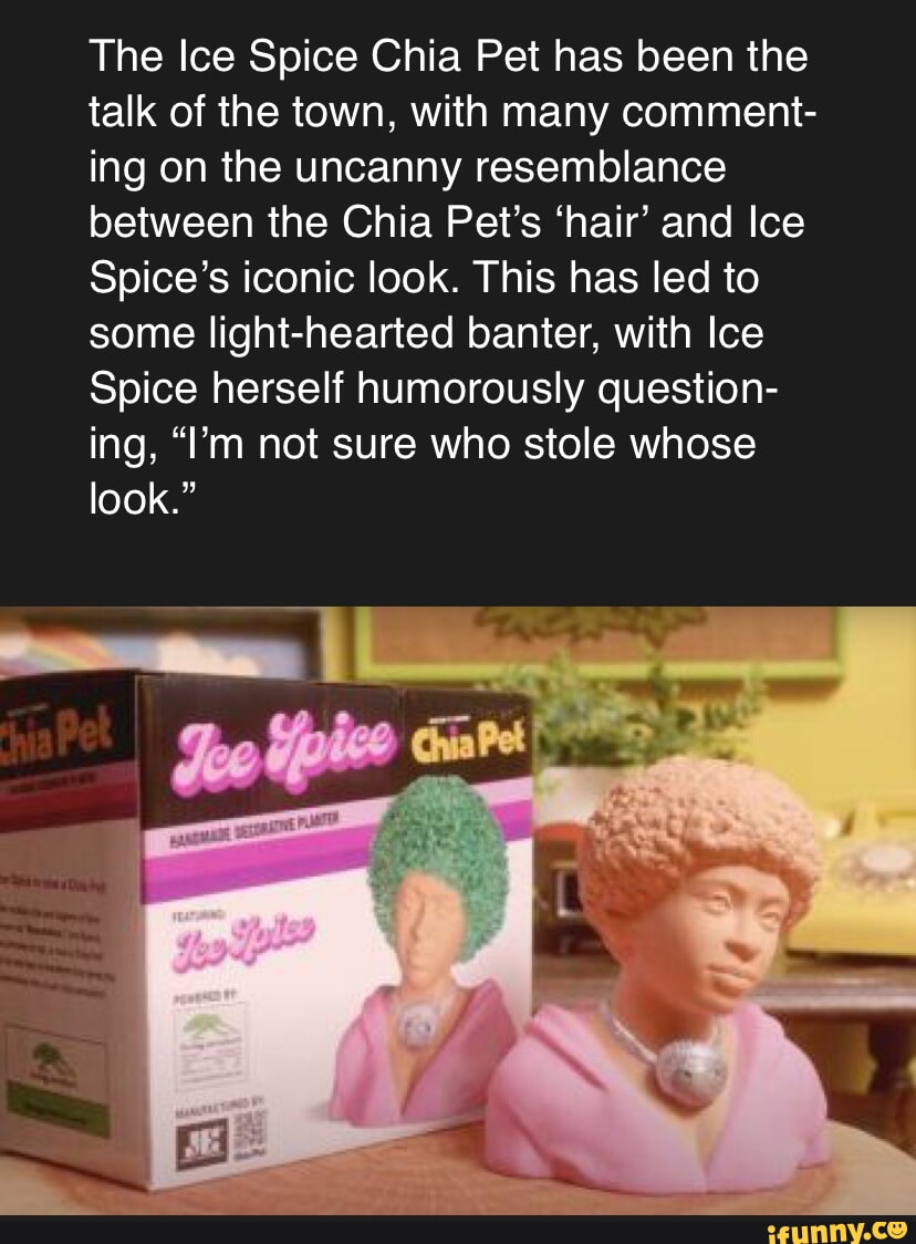 The Ice Spice Chia Pet has been the talk of the town, with many comment ...