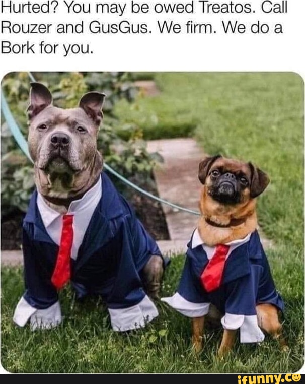 Bork memes. Best Collection of funny Bork pictures on iFunny