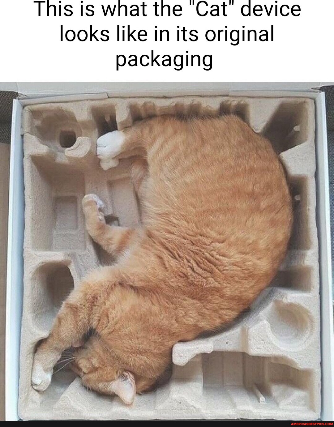 This is wnat the Cat device looks like in its original packaging I I I ...