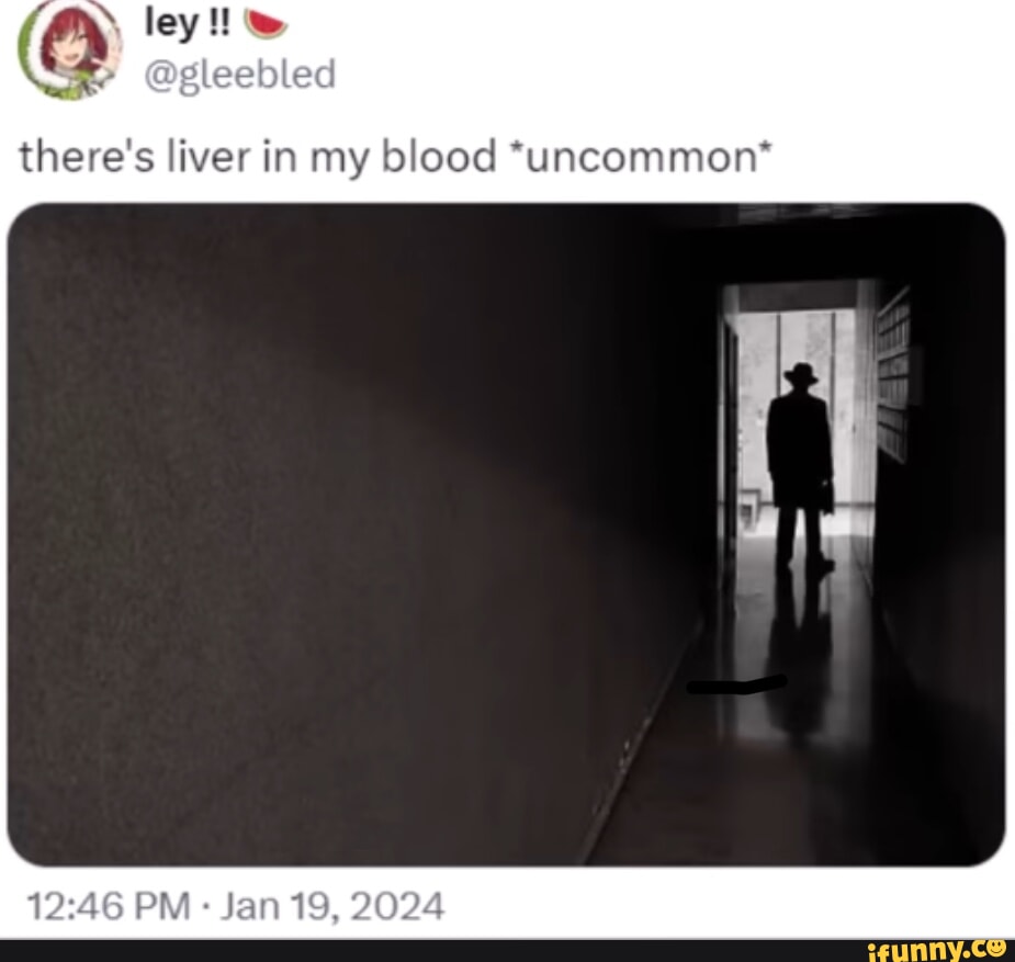 To all of you stating that MEGALODON couldn't exist in our day & age ...