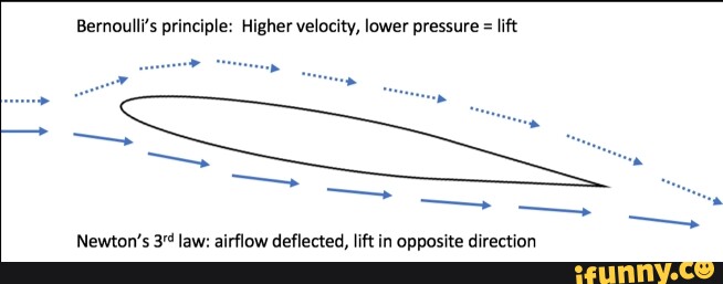 Bernoullis memes. Best Collection of funny Bernoullis pictures on iFunny