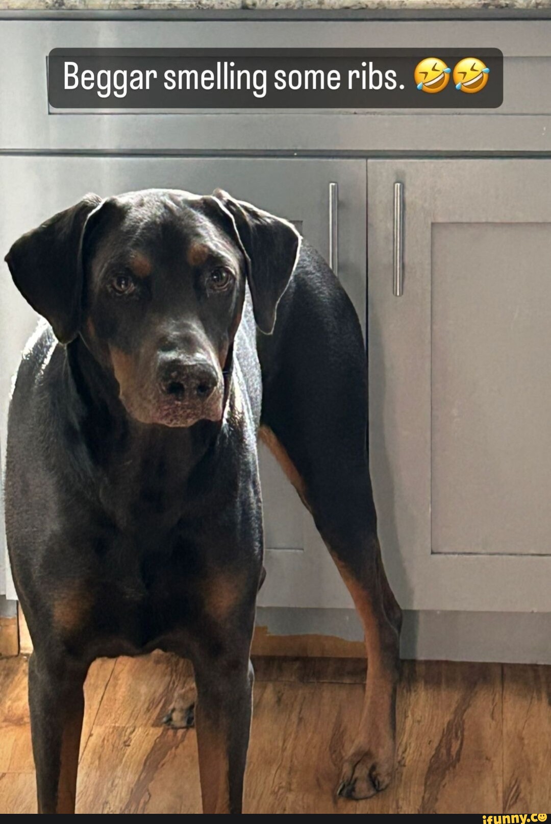 Smelling memes. Best Collection of funny Smelling pictures on iFunny