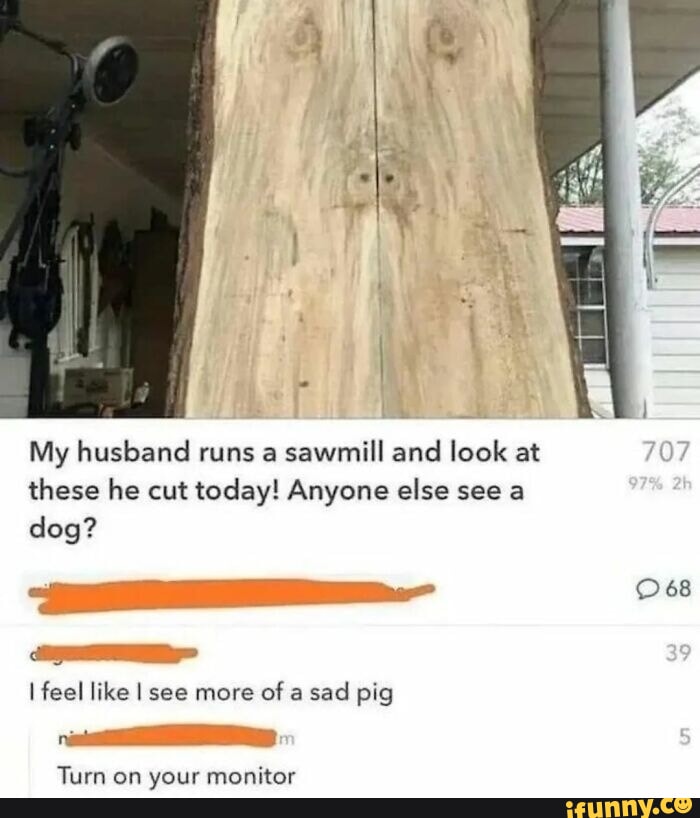 Sawmill memes. Best Collection of funny Sawmill pictures on iFunny