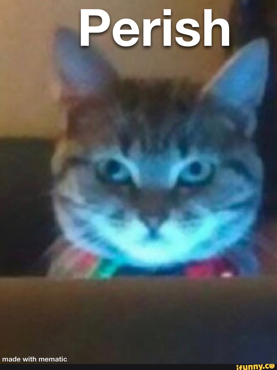 Shitpost memes memes. The best memes on iFunny