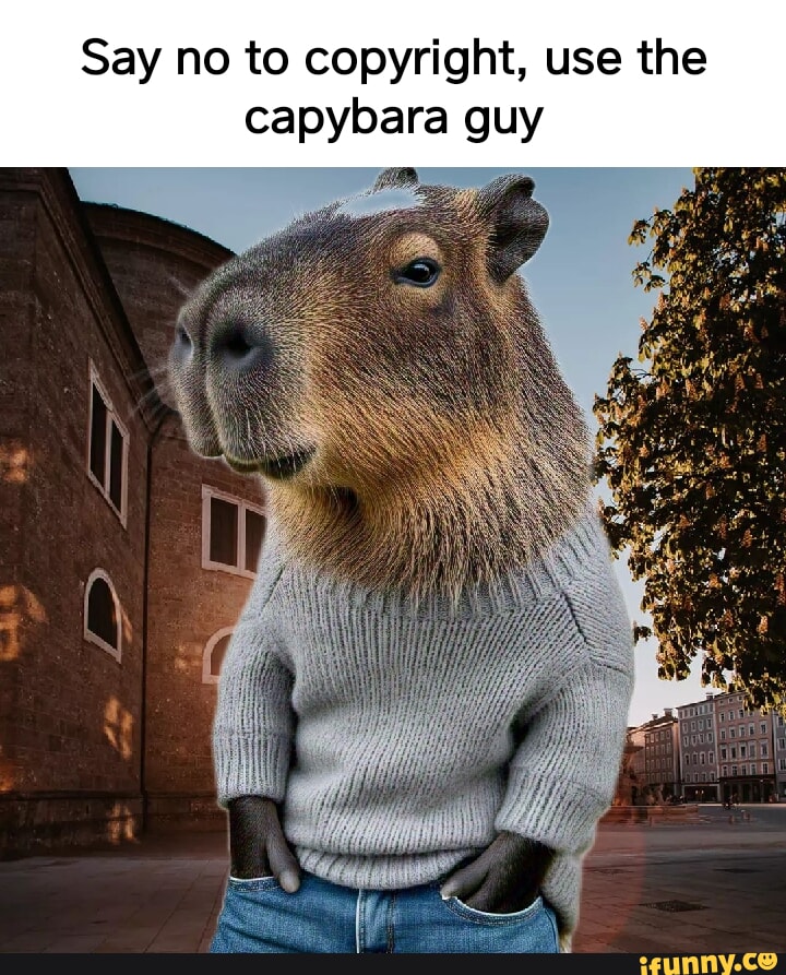 Capybaraguy memes. Best Collection of funny Capybaraguy pictures on iFunny