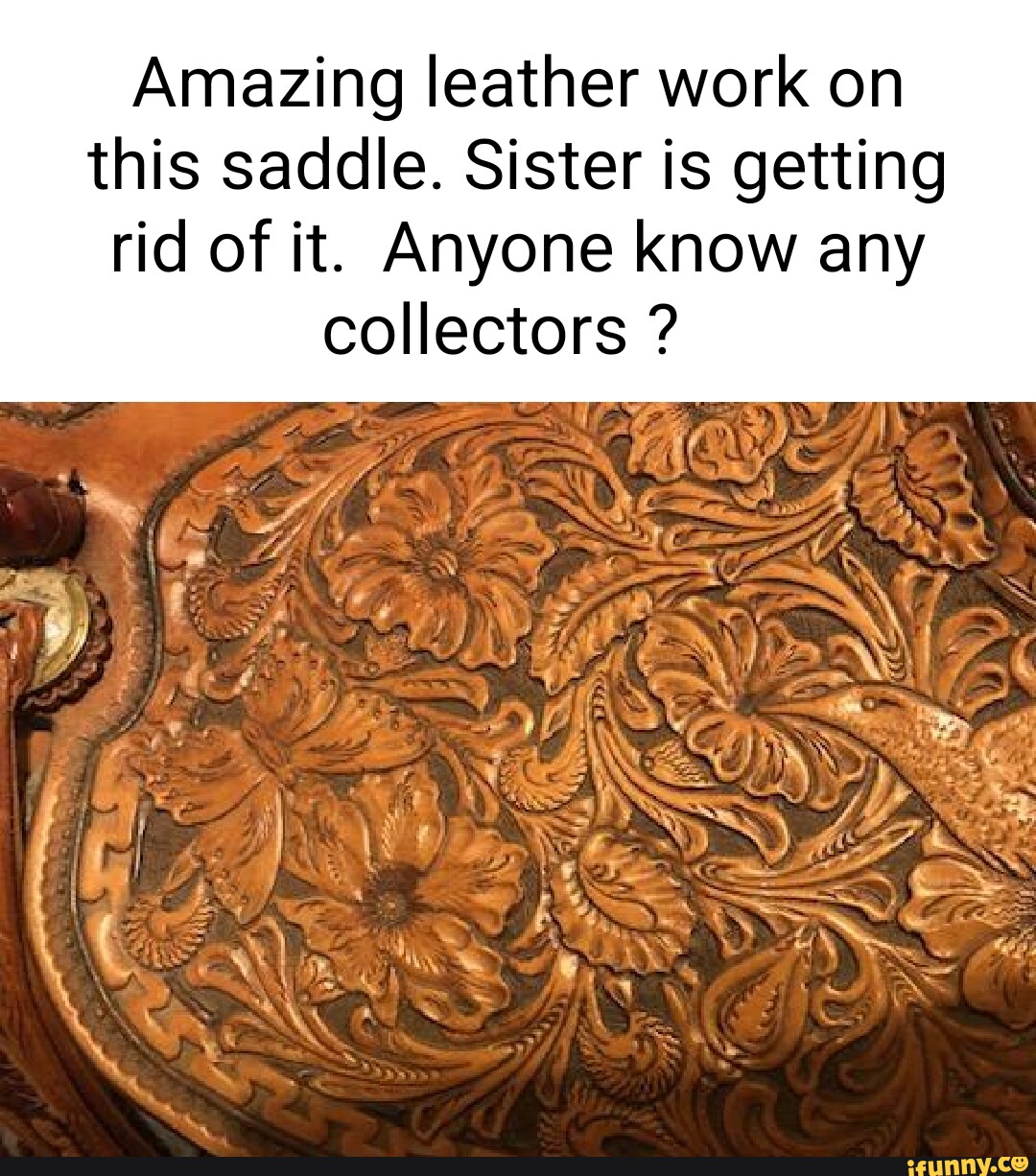 Westernsaddles memes. Best Collection of funny Westernsaddles pictures ...